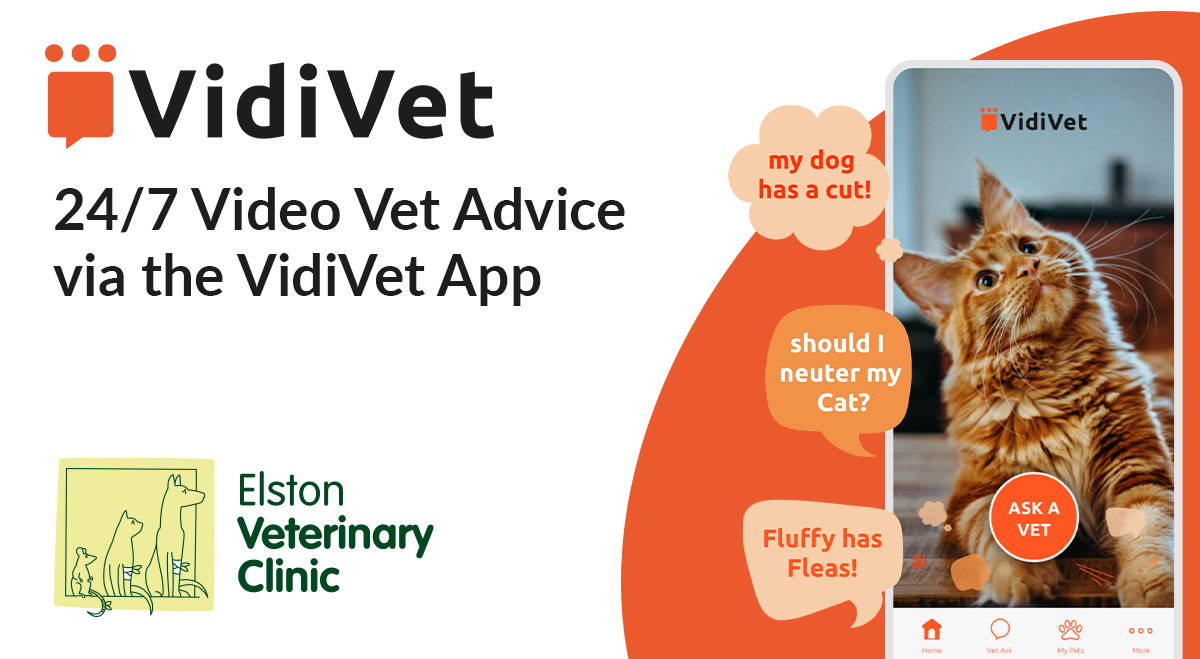 24/7 Video Vet Advice via the VidiVet App | Elston Vets in Shrewton